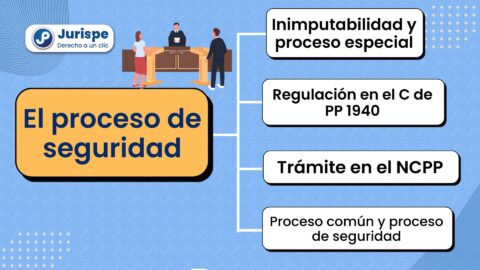 El proceso de seguridad. Bien explicado | Juris.pe
